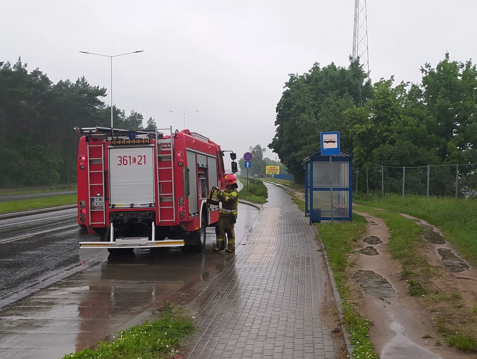 Kot utknął w studzience. Ratowali go strażacy, strażnicy, służby ... Kot utknął w studzience. Ratowali go strażacy, strażnicy, służby ...